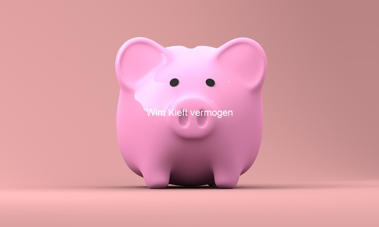 Wim Kieft vermogen - Financiële Hulp